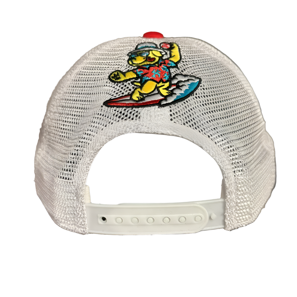Clearwater BeachDogs Bimm Ridder Draw Cap – Clearwater Threshers